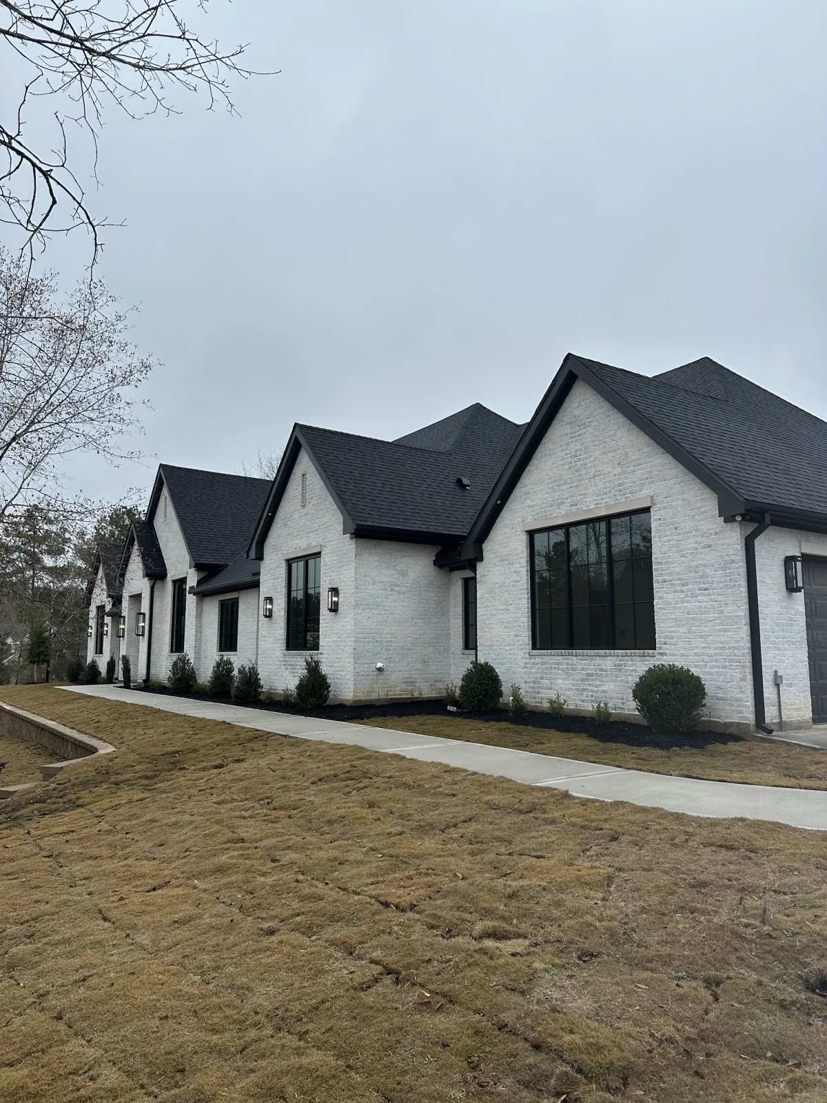 Modern Transitional Custom Home with Vaulted Ceilings in Texas